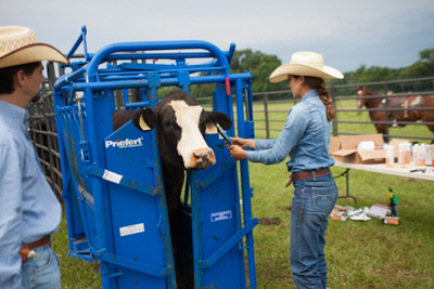 Priefert Model 91 headgate - Cleveland, GA - White County Farmers Exchange